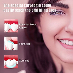 BTFO 2 Pcs Electric Toothbrush Heads for BTFO 1741-01 (Black)