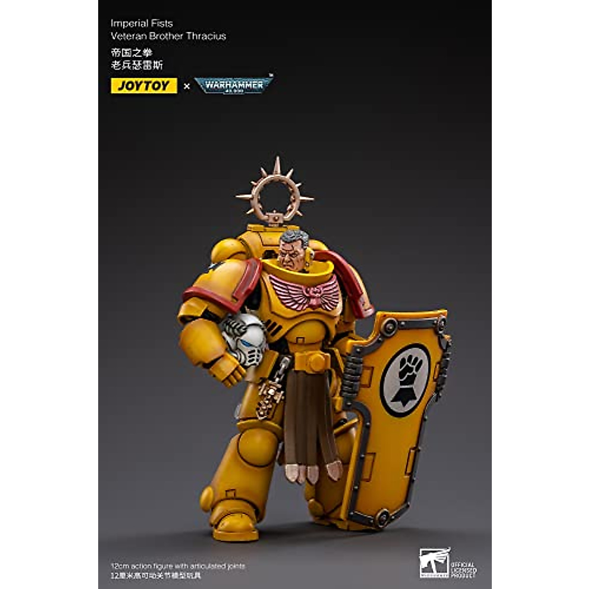 BLOOMAGE JOYTOY (BEIJING) TECH Warhammer 40K: Imperial Fists Veteran Brother Thracius 1:18 Scale Action Figure, Multi