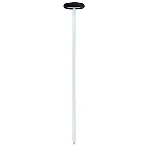 Riester Queens Reflex Hammer, Plastic Handle 13.77, 5058