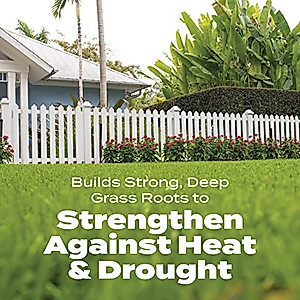 Scotts Turf Builder Bonus S Southern Weed & Feed2, Weed Killer and Lawn Fertilizer, 10,000 sq. ft., 34.48 lbs.