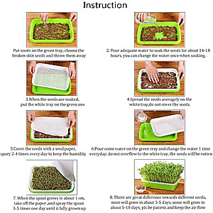 Blawicat Seed Sprouter Tray Seed Germination Tray BPA Free Nursery Tray for Seedling Planting Suit for Garden Home Office (5pcs with lid)
