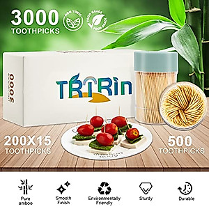 TRTRin Bamboo Toothpicks [3000 Count] - With Reusable Toothpick Holder, Sturdy Smooth Finish Tooth Picks, for Party, Appetizer, Olive, Barbecue, Fruit and Teeth Cleaning, Green.