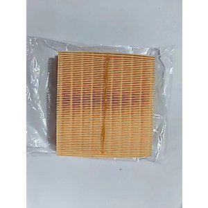 BANGTE 2175273 Air Filter Replacement For Kohler engines 435, 435B1, 435V, 6LD401B1, 6LD401MG, 6LD435,replace ED2175273 2175272 5502175096 SA17096