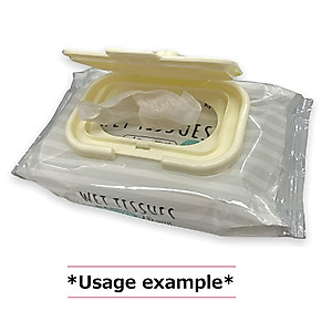 Sanrio Hello Kitty Baby Wet Paper Wet Tissue Wipe Lid Cover (White)