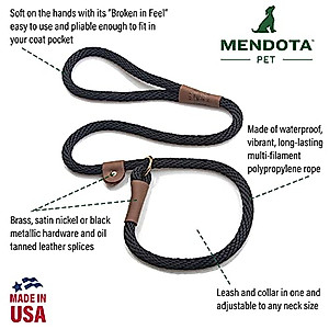 Mendota Pet Slip Leash - Dog Lead and Collar Combo - Made in The USA - Black, 3/8 in x 6 ft - for Small/Medium Breeds