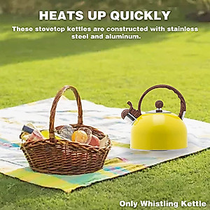 Tea Kettle, Whistling Tea Kettle for Stovetop - 2.5L Stainless Steel Whistling Kettle Tea Pot for Stove Top with Wood Grain Handle Loud Whistle (Yellow)