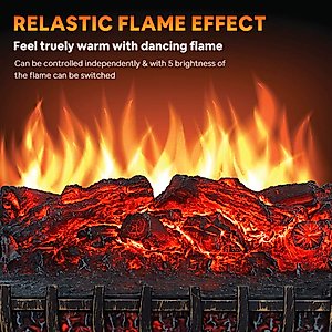 LifePlus Electric Fireplace Logs Heater, Fireplace Insert Heater with Remote Control, Realistic Flame Effect, Infrared Fireplace Heater for Indoor Use 8H Timer, Adjustable Brightness