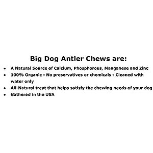 Big Dog Antler Chews - One Pound Pack of Sun-Aged Deer and Elk Antler Dog Bone Chews - Natural Healthy Long-Lasting Treat