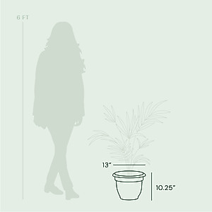 Bloem Ariana Self Watering Planter: 12" - Burnt Red - Durable Resin Pot, for Indoor and Outdoor Use, Self Watering Disk Included, Gardening, 3 Gallon Capacity