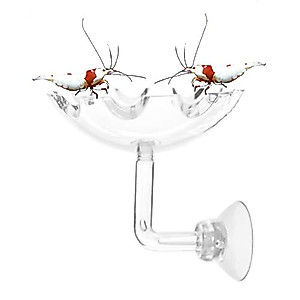 JZMYXA Shrimp Feeding Dish Shrimp Feed Dish, High Transparent Acrylic Material