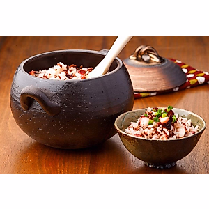 Japanese Donabe Rice Cooker with Non-Stick Coating - Made in Mie, Japan - 3 Go, Banko-Yaki