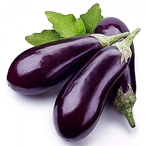 Seeds4planting - Seeds Eggplant Aubergine Long Mix Rare Thai Heirloom Vegetable Non GMO