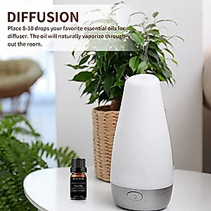 2pcs Vanilla Essential Oils for Massage, Diffuser, Humidifier - 100% Pure Fragrance Oil 10ML