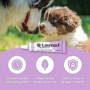 Lavengel Dog Skin Care Gel - Highly Concentrated Ointment Helps Relieve Itchy Skin and Heals Wounds Naturally, First-Aid for Skin Irritations, Hotspots, Sores, and Acne, We Support Rescues