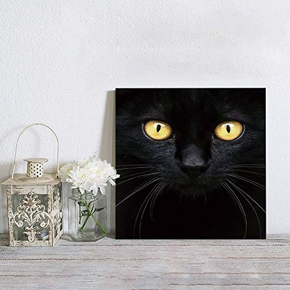 HIYPLAY Canvas Wall Art Cue Black Cat in The Dark Picture Modern Artwork Printed on Canvas - Oil Painting for Wall Decor - Stretched and Framed Ready to Hang(12" x 12")