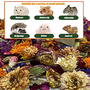 Tfwadmx Hamster Substrate Natural Flower Bedding Mate Habitat Decor for Dwarf Syrian Hamsters Mice Degus Gerbils Bunny or Other Small Animal