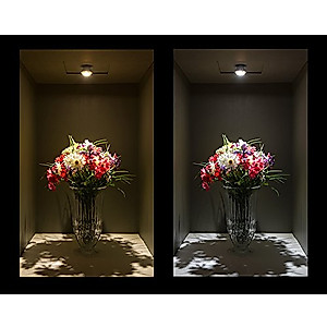 CBconcept UL-Listed MR11 GU4.0 LED Light Bulbs, 10-Pack, 2 Watt, Dimmable 230 Lumen, Warm White 3000K, 36° Beam Angle, 12 Volt, 20W Halogen Bulbs Equivalent,Landscape/Accent/Recessed/Track Lighting