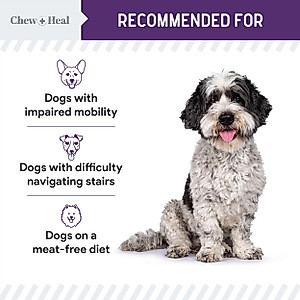 Chew + Heal Labs Dog Salmon Jerky Treats for Hip and Joint - 12 oz of Mobility Soft Dog Jerky Treats - Made with Alaskan Salmon, Turmeric, Glucosamine, Chondroitin, Green Lipped Mussel, and More