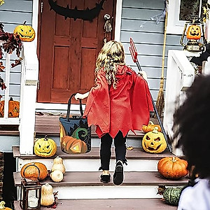 Fubido Harvest Theme, Halloween Trick or Treat Bucket,Pumpkin Natural Organic Food,Candy Basket Tote Bag,Orange Green