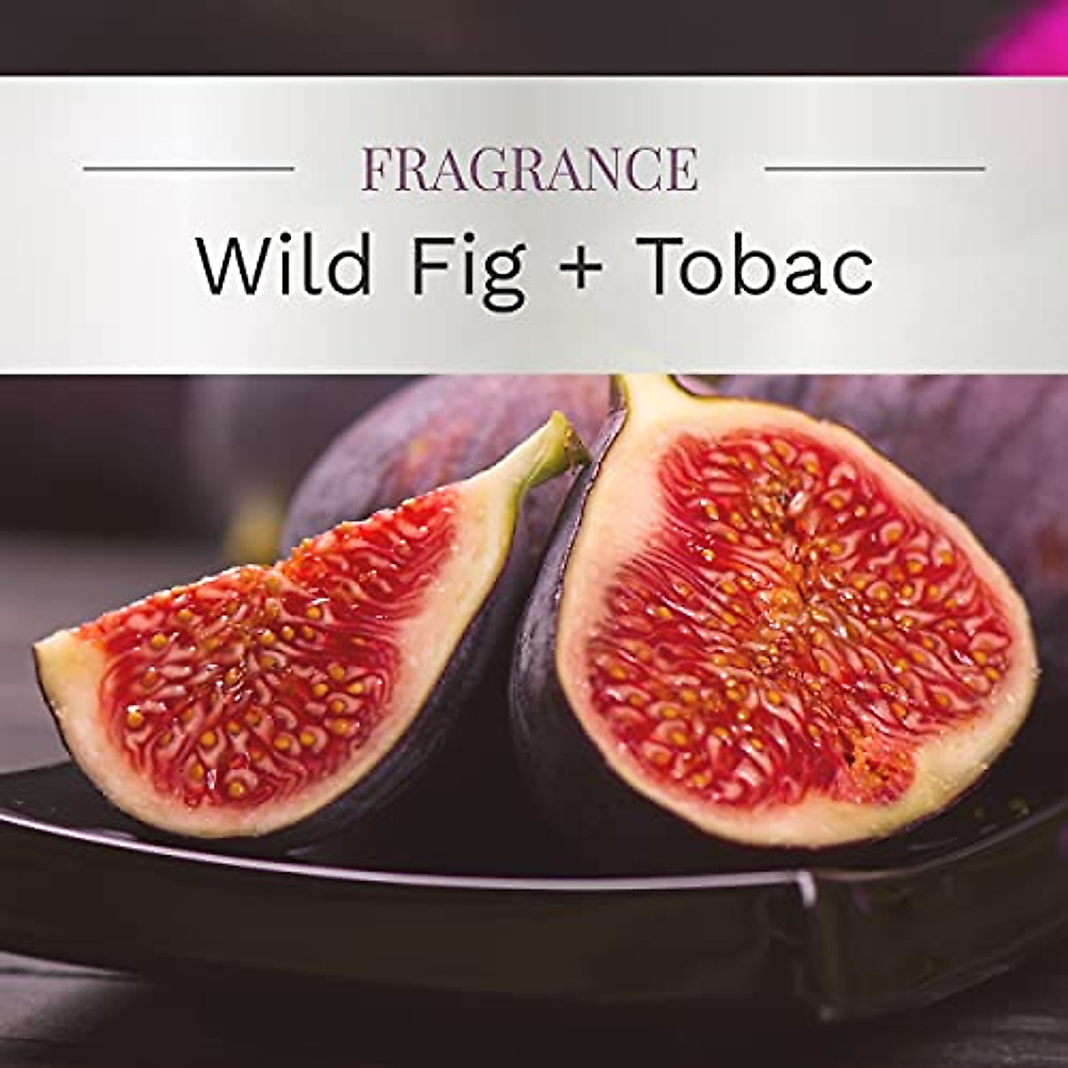 Essential Elements by Candle-lite Scented Candles Wild Fig & Tobac Fragrance, One 9 oz. Single-Wick Aromatherapy Candle with 50 Hours of Burn Time, Off-White Color