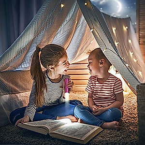 EverBrite 30-Pack Mini Flashlight Set, Aluminum LED Handheld Torches with Lanyard, Assorted Colors, 90 Batteries Included for EDC, Party Favors, Night Reading, Camping, Power Outage, Emergency