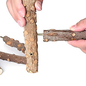 Bird Perch Nature Wood Stand for 3-4pcs Small Medium Parrots (S)