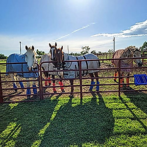 Fly Free Insect Protection Boots, Blue, HORSE