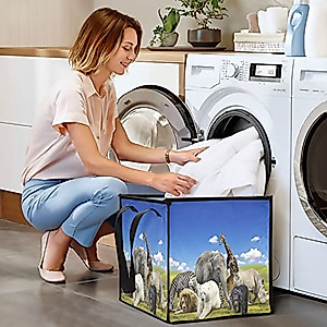 Blueangle Wild Animals Group Cube Storage Bin with Handles, 13 x 13 x 13 in, Large Collapsible Organizer Storage Basket for Home Décor（507）