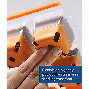 Burpee SuperSeed Windowsill Seed Starting Tray | 8 XL Cell | Seed Starter Tray | Reusable & Dishwasher Safe | for Starting Vegetable Seeds, Flower Seeds & Herb Seeds | Window Garden Seed Starting Kit