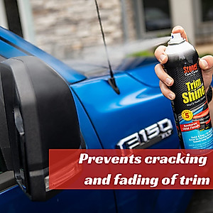 Stoner Car Care 91034 12-Ounce Trim Shine Protectant Aerosol Restores Dull or Faded Interior and Exterior Plastic Renew Bumpers, Running Boards, and More, Pack of 1