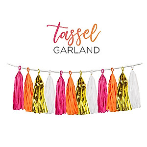 20PCS Hot Pink Orange DIY Tissue Tassel Banner Paper Party Garland Streamer for Graduation Summer Luau Flamingo Girl Baby Shower Pumpkin Birthday Party Wedding Nursery Classroom Décor