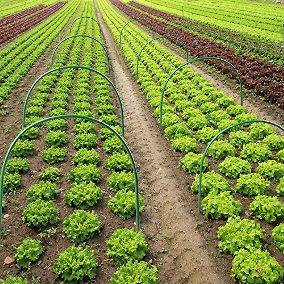 Marooma 6Pcs Greenhouse Hoops, 18.9 H x 18.9 W Plant Support Garden Stakes, Rust-Free Grow Tunnel 4ft Long Steel with Plastic Coated Support Hoops Frame for Garden Fabric, Garden Netting