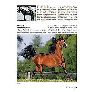 The Original Horse Bible, 2nd Edition: The Definitive Source for All Things Horse (CompanionHouse Books) 210 Breed Profiles, Training Tips, Riding Insights, Competitive Activities, Grooming and Health