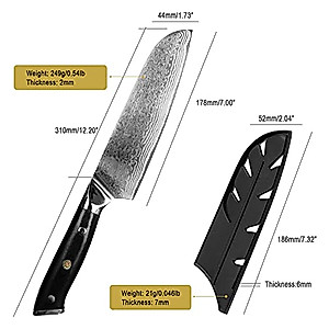 XYJ Professional Damascus Chef Knife VG10 High Carbon Stainless Damascus Steel Knife Ergonomic G10 Handle Razor Sharp 7" Japanese Santoku Knife with Knife Sheath & Gift Box