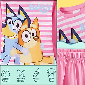 Bluey Pajamas for Girls Toddlers Long PJs Set Lounge Set Comfy Sleepwear (2-3 Years, Pink/White)