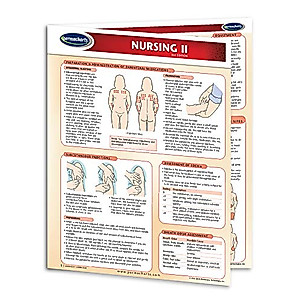 Permacharts Nursing, BSN, Registered Nursing Year 1 Curriculum Essential Quick Reference Guides - 20 Chart Bundle Medical Nursing Charts Bundle