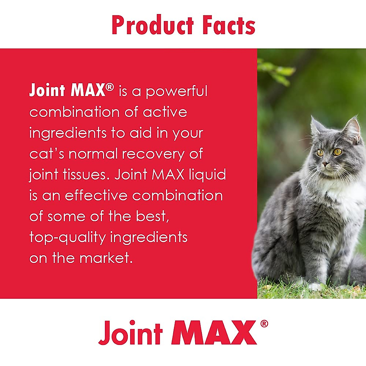 Joint MAX Liquid for Cats - Vitamins, Minerals, Antioxidants - Glucosamine, Chondroitin - Supports Joints and Cartilage Health, Chicken Flavor - Veterinarian Formulated - 8 fl oz