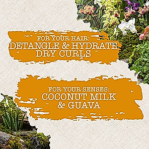 Maui Moisture Nourish & Moisture + Coconut Milk Shampoo + Conditioner to Hydrate and Detangle Curly Hair, Lightweight Daily Moisturizing Shampoo, Vegan, Silicone & Paraben-Free, 13 Fl Oz