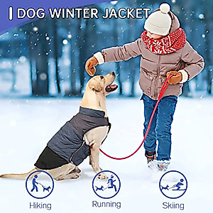 Warm Winter Jacket for Dogs,Reversible Furry Coat with Leash Hole,Puppy Cat Waterproof Reflective Vest Cloth for Cold Weather,Navyblue,XS