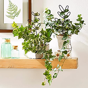 Garden Trellis for Climbing Plant Iron Pot Trellis Leaf Shape 2 Packs 12’’ Black Coated Wire Indoor Houseplant Home Plant Tool Plant Lover Gifts Ideas