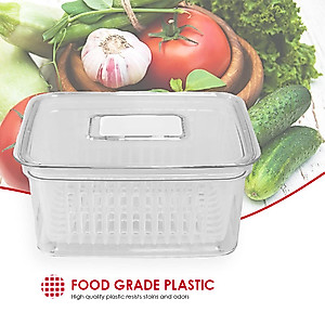 Home Basics Clear Fruit and Vegetable Fridge Storage Container Small Produce Saver with Lid and Removable Colander | Adjustable Air Vent on Lid