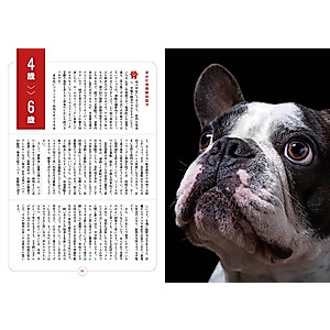 BUHI MANIACS vol.4 フレンチブルドッグの教科書 (BUHI MANIACS vol. 4)