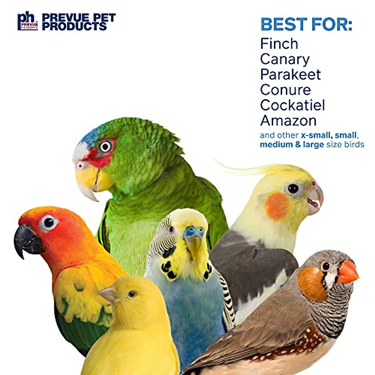 Prevue Hendryx Forage & Engage Calypso Creations Fiesta Handbag Bird Toy 62604