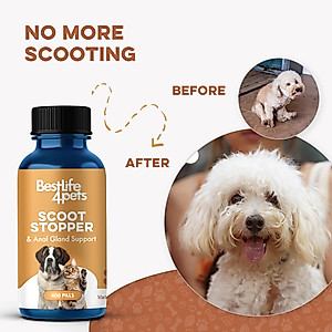 Scoot Stopper and Anal Gland Support for Dogs and Cats - 100% Natural Relief for Dog and Cat Constipation, Rectal Prolapse, Itching, Inflammation, Bum Scooting and Difficult Pooping - 400 Small Pills