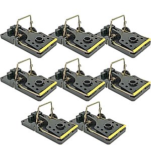 iTrap Easy Set Snap Rat & Mouse Traps w/ Bait Cups, 8 Pack - Simple Deadly Pest Control