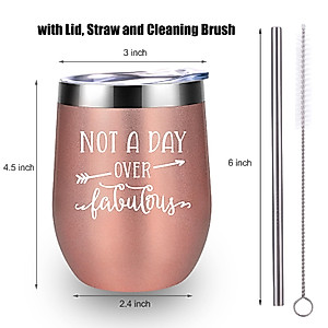LEADO Not a Day over Fabulous Wine Tumbler, Birthday Gifts for Women - Funny Gifts for Her - Birthday Wine Gifts for Women, Girls, Mom, Best Friend, Sister, Aunt - Unique Bday Gifts for Her