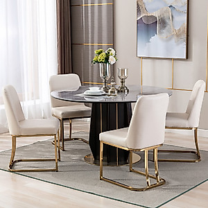Wahson Set of 2 Faux Leather Upholstered with Woven Detail Dining Room Chairs, Classic Modern Fabric Chair for Dining Room, with Golden Metal Frame, Beige