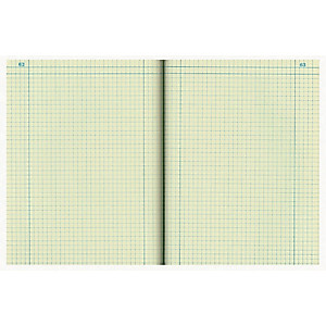 National Brand Computation Notebook, 4 X 4 Quad, Brown, Green Paper, 11.75 x 9.25 Inches, 75 Sheets (43648)