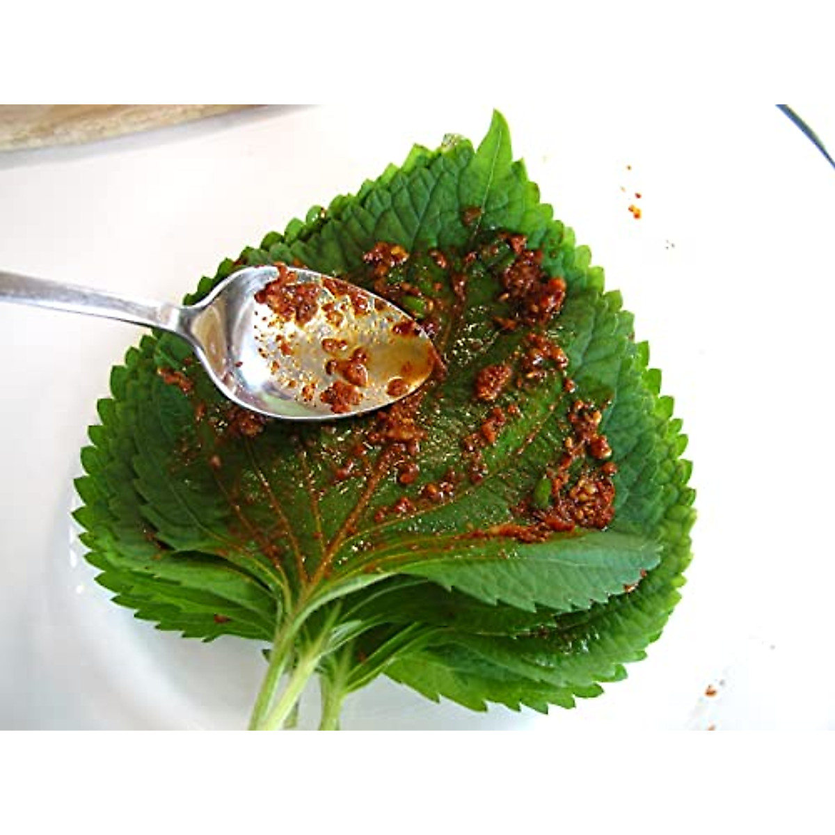 Gaea's Blessing Seeds - Korean Shiso Seeds (Perilla), Heirloom Non-GMO Seeds with Easy to Follow Planting Instructions, Korean Perilla, Open-Pollinated, 94% Germination Rate