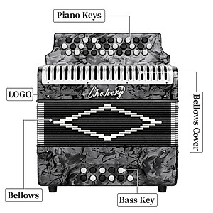 31-Key Diatonic Accordion, 12 Bass, G/C/F, Accordion Instruments for Adults With Suitcase, Cleaning Cloth, Straps and Gloves (Sliver)